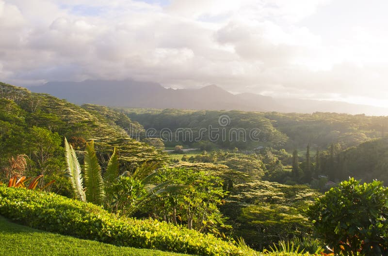 Beautiful Valley on Kauai Island, Hawaii Stock Photo - Image of hill ...