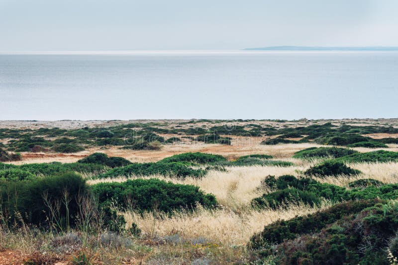 Beautiful Valley with Sea View Stock Image - Image of land, inspiring ...