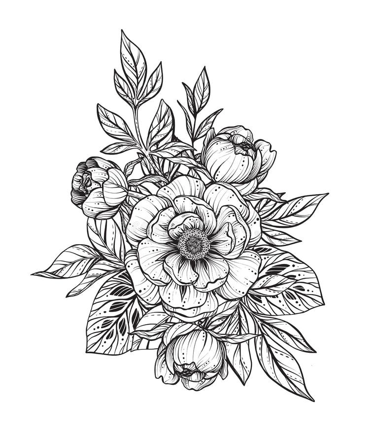 Beautiful Vector Frame with Black and White Feverweed, Protea, Peony ...