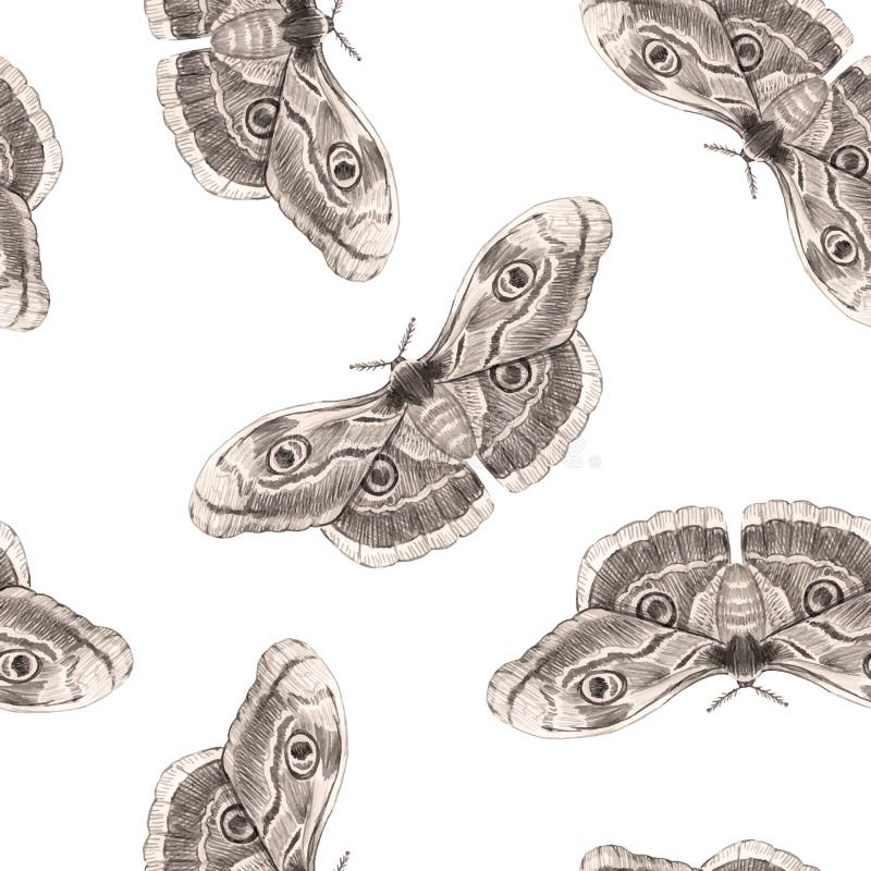Beautiful Vector Moth Butterfly Seamless Pattern. Ready Print. White ...