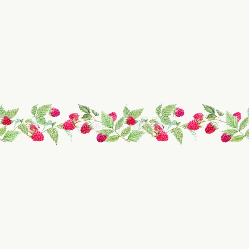 Beautiful Vector Seamless Horizontal Pattern with Watercolor Raspberry ...