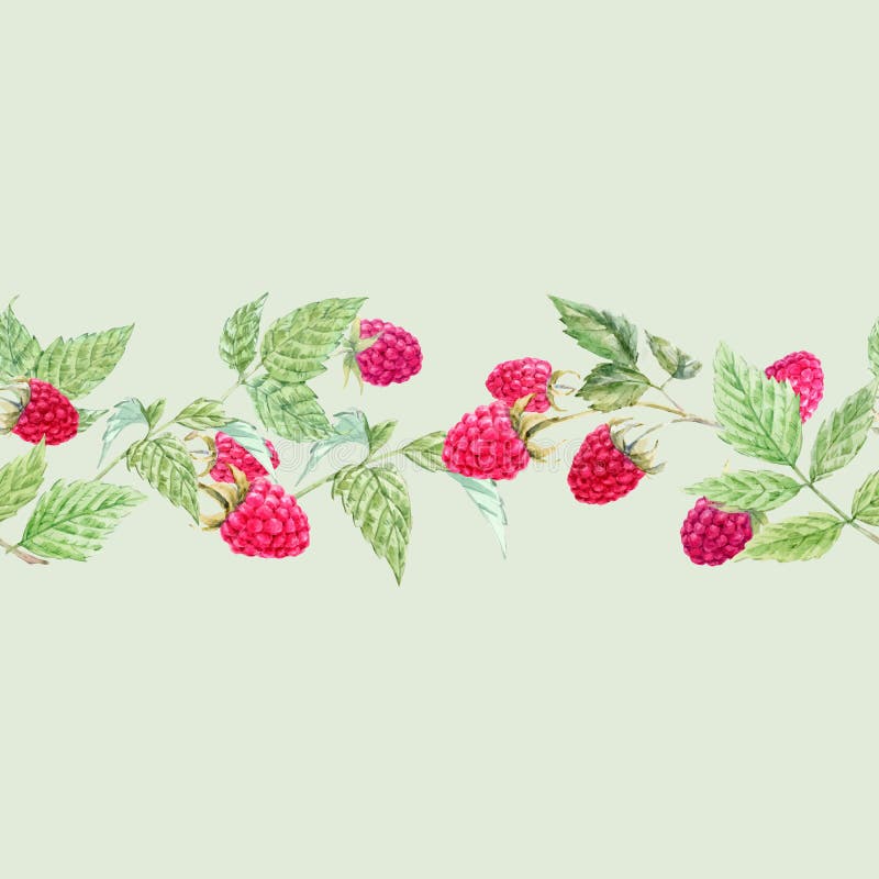 Beautiful Vector Seamless Horizontal Pattern with Watercolor Raspberry ...