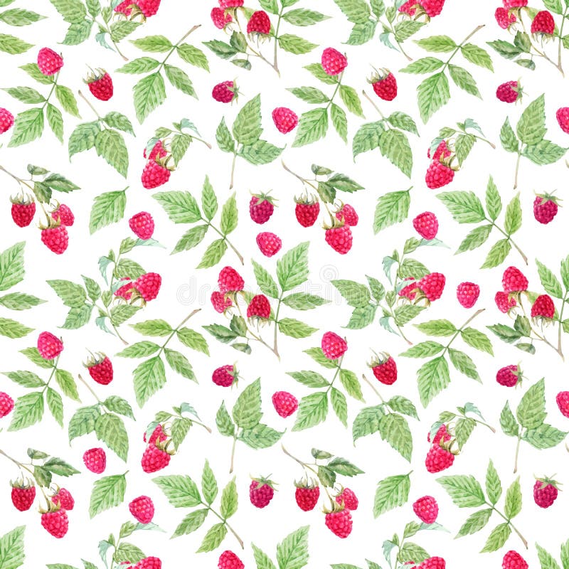 Beautiful Vector Seamless Pattern with Watercolor Raspberry and Leaves ...