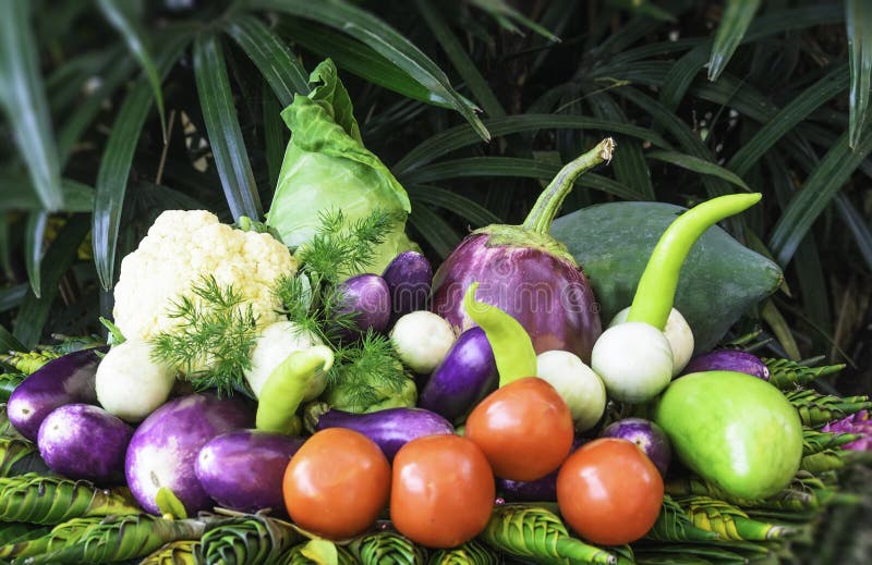 Beautiful Vegetables Picture. Image: 30579349