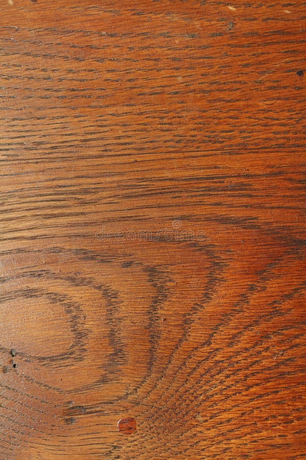Oak veneer texture stock image. Image of panel, parquet - 49643829