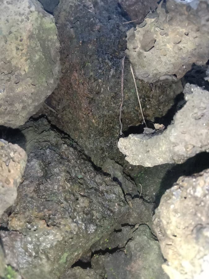 Beautiful and Versatile Natural Stone and Its Many Benefits Stock Photo ...