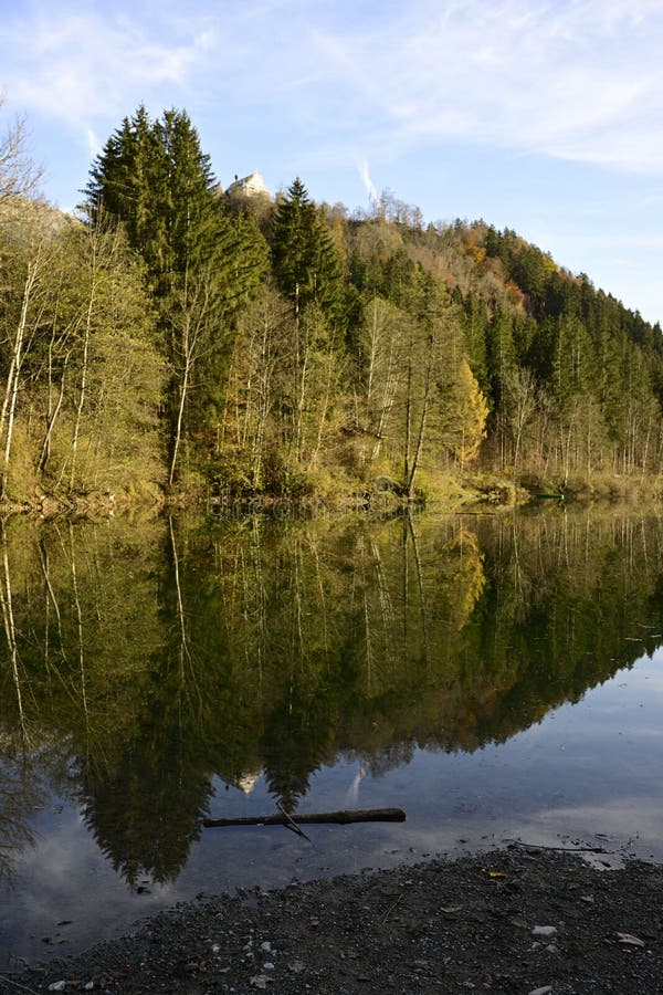 Beautiful Vertical Landscape of a Lake with a Green Forest at the Shore ...