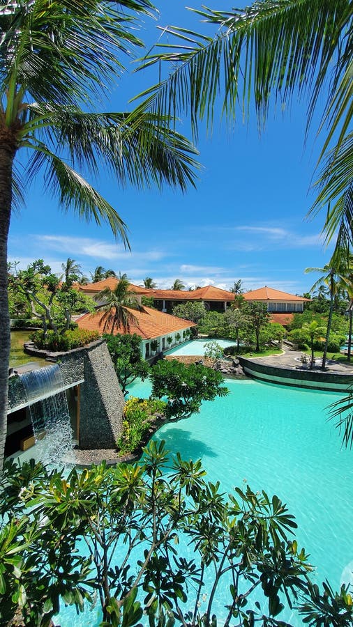 Beautiful Vertical Picture of the Resort with Palms and Swimming Pool ...