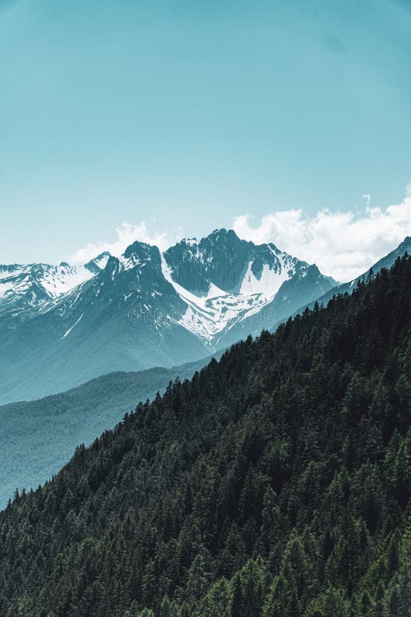 Beautiful Vertical Scenery of Forest, Mountains, and Sky Stock Photo ...