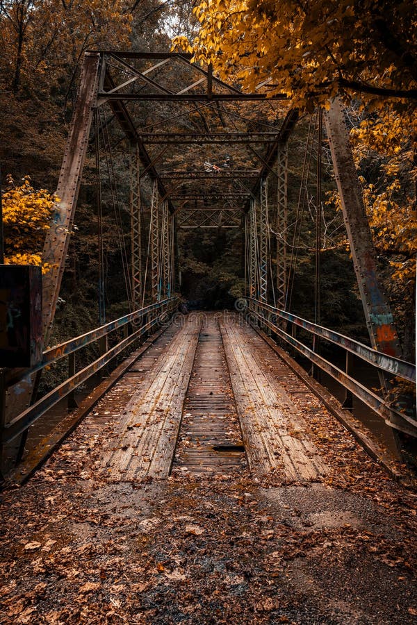Beautiful Vertical Shot of an Iron Bridge in the Forest at Fall Stock ...