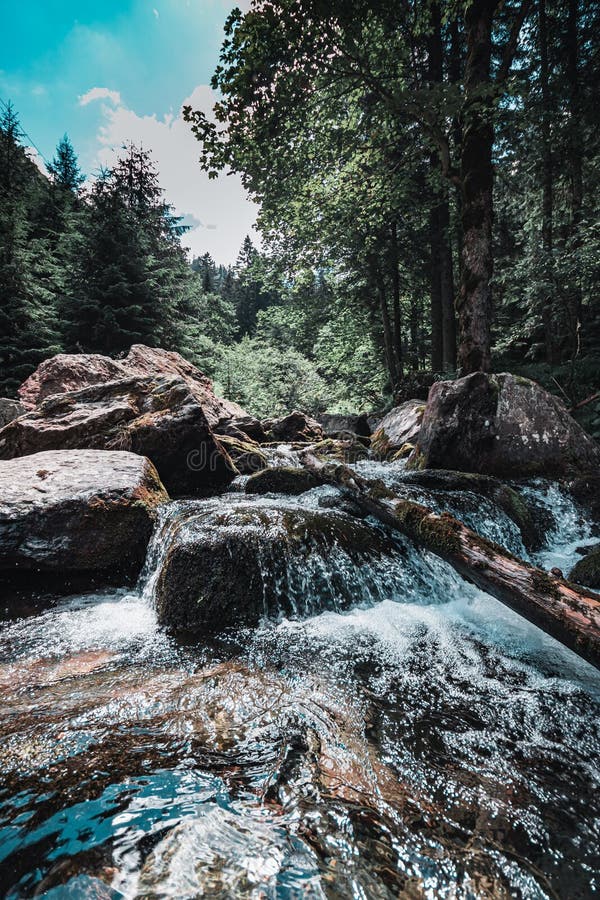 Beautiful Vertical Shot of a River with Big Rocks and a Long Log in the ...