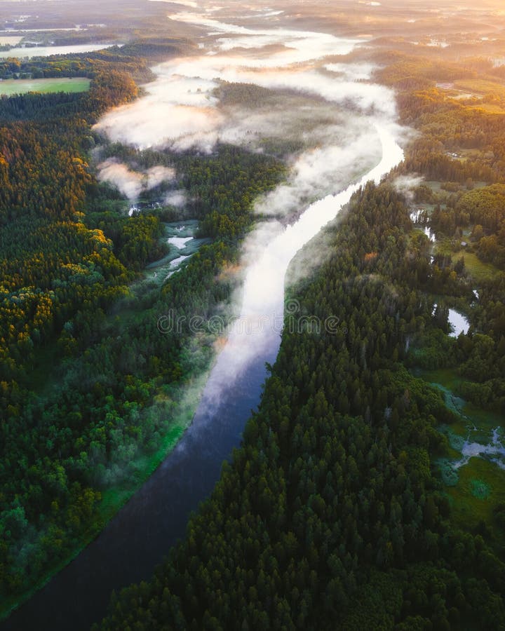Beautiful Vertical Shot of a River Streaming through the Forest Covered ...