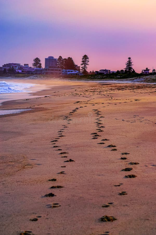 Sunrise Beach Footsteps Vertical Stock Photos - Free & Royalty-Free ...