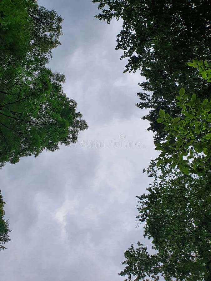 Beautiful Vertical Shot from Underneath of a Cloudy Weather Stock Photo ...