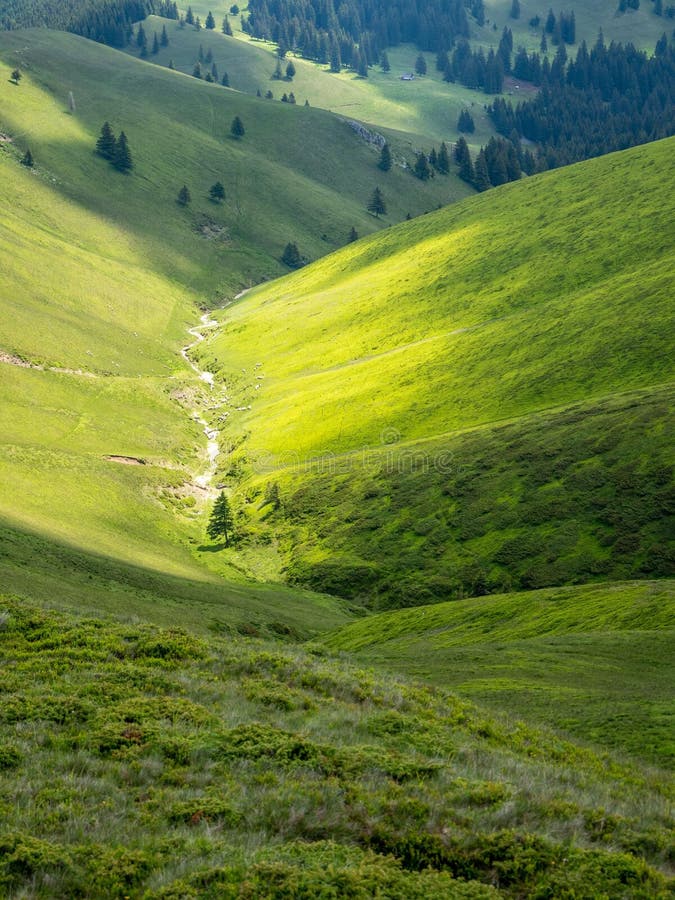 Beautiful Vertical View of a Green Hillside Stock Image - Image of ...