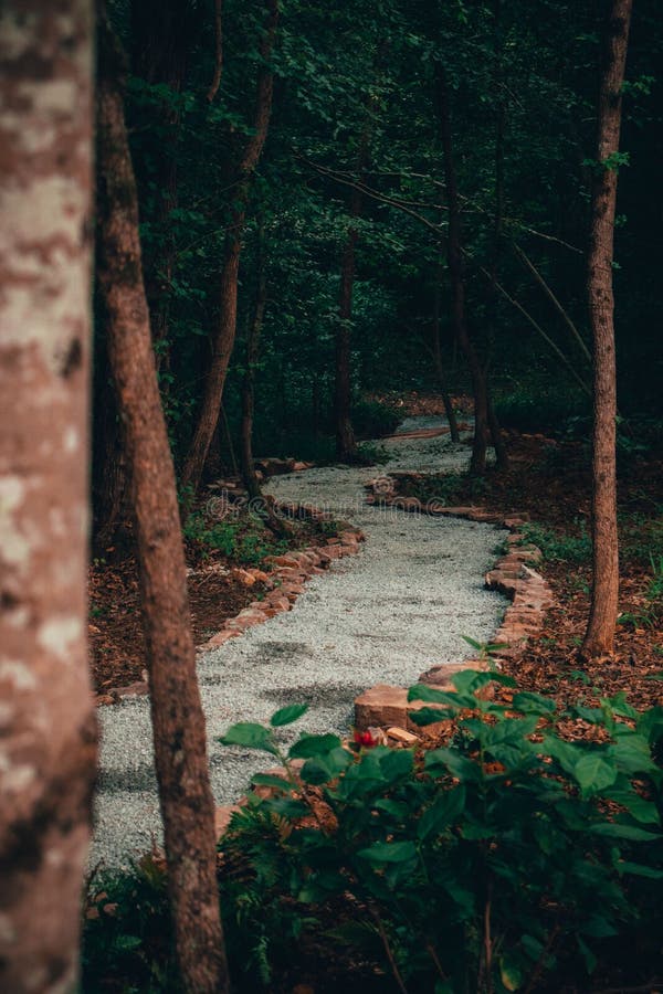 Beautiful Vertical View of Stone Path in a Park with Trees Stock Image ...