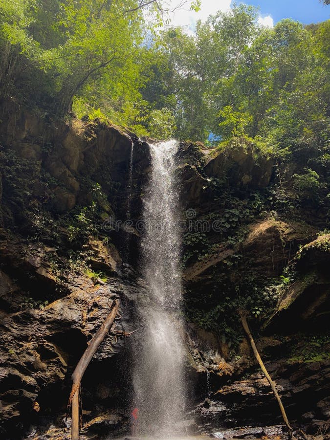 Beautiful Vertical View of the Waterfall Flowing through the Rocks of ...