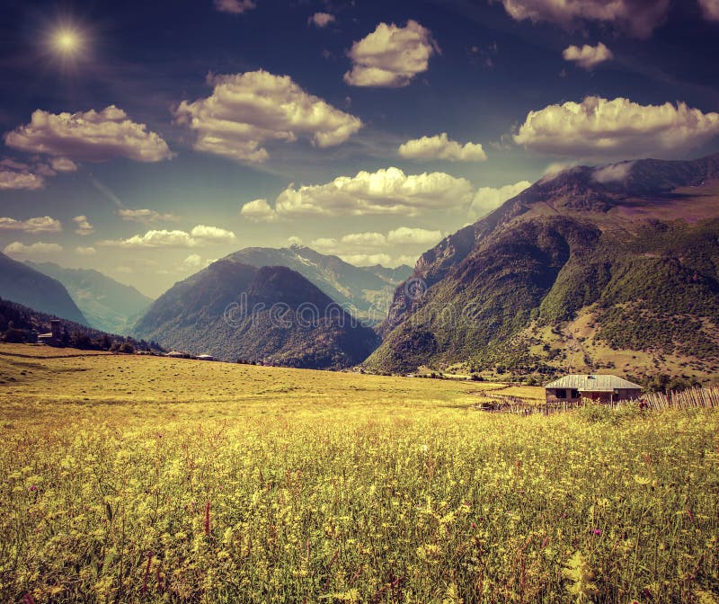 Beautiful View of Alpine Meadows in the Mountains Stock Image - Image ...