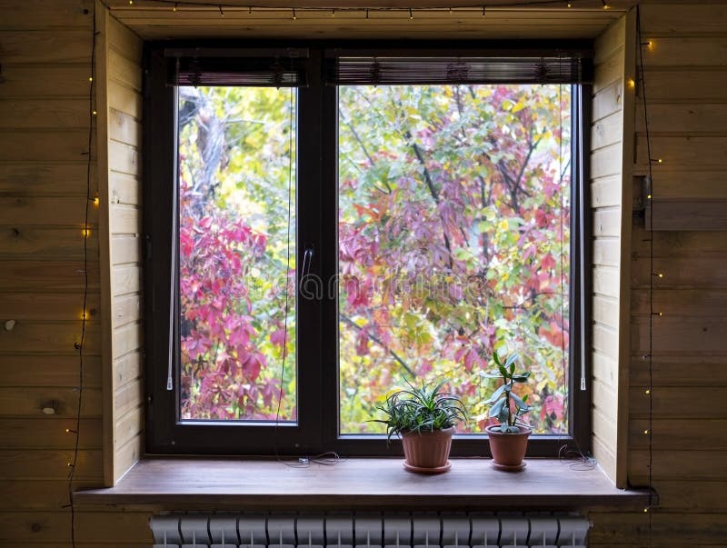 Beautiful View of Autumn Colorful Trees through Window. Stock Image ...