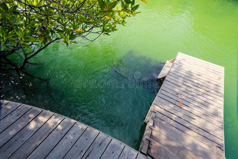 Beautiful View from Balcony. Stock Photo - Image of havelock, natural ...