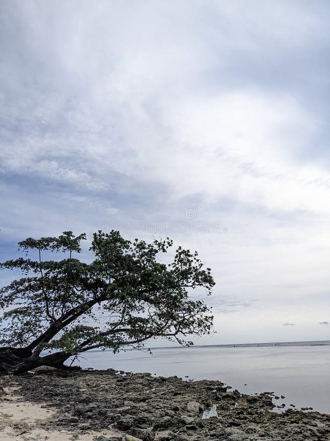 Beautiful View of the Beach Can You See Stock Photo - Image of view ...