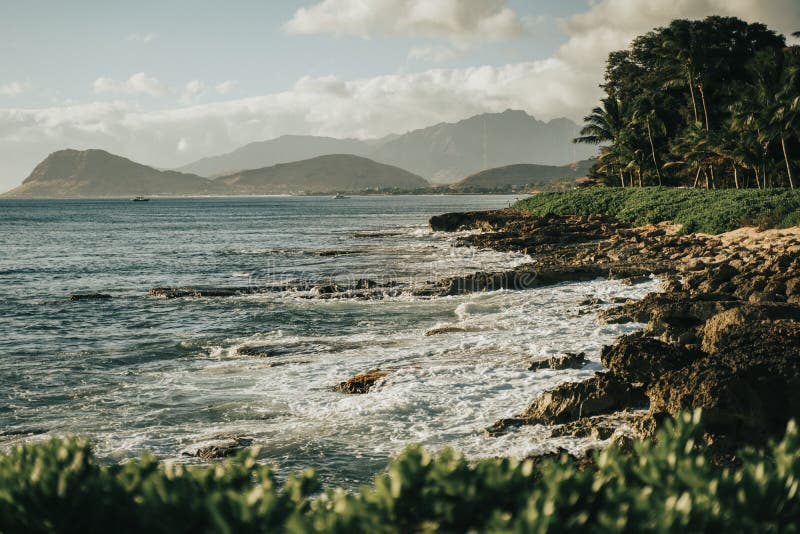 Beautiful View of a Beach in Hawaii. Stock Photo - Image of blue ...