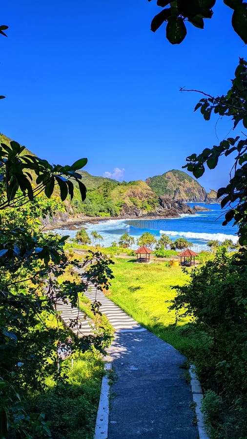 Beautiful View on the Beach Stock Image - Image of plant, view: 287577519