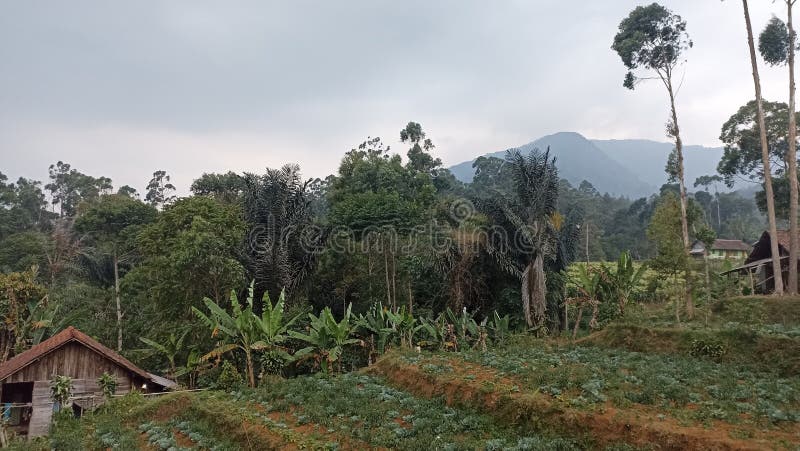 The Beautiful View Behind the House is Mountains and Settlements Stock ...