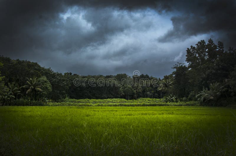 A Beautiful View before Raining Stock Photo - Image of feeding ...