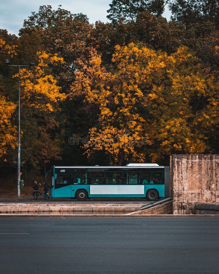 Beautiful View of a Blue Bus on the Street Stock Photo - Image of ...