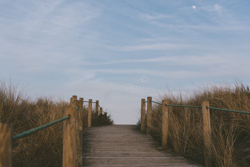 Beautiful View of the Boardwalk in the Field Surrounded by Dried Grass ...