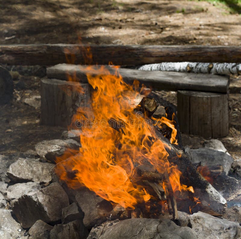 View of a Bonfire Burning in Bright Fire in the Forest Near a Makeshift ...