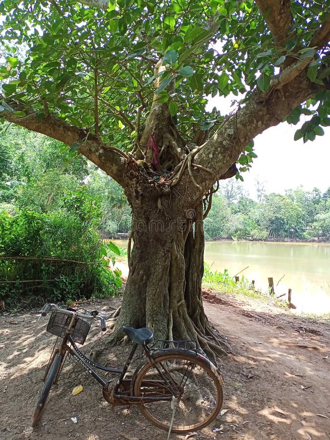 Fieldthere Stock Photos - Free & Royalty-Free Stock Photos from Dreamstime