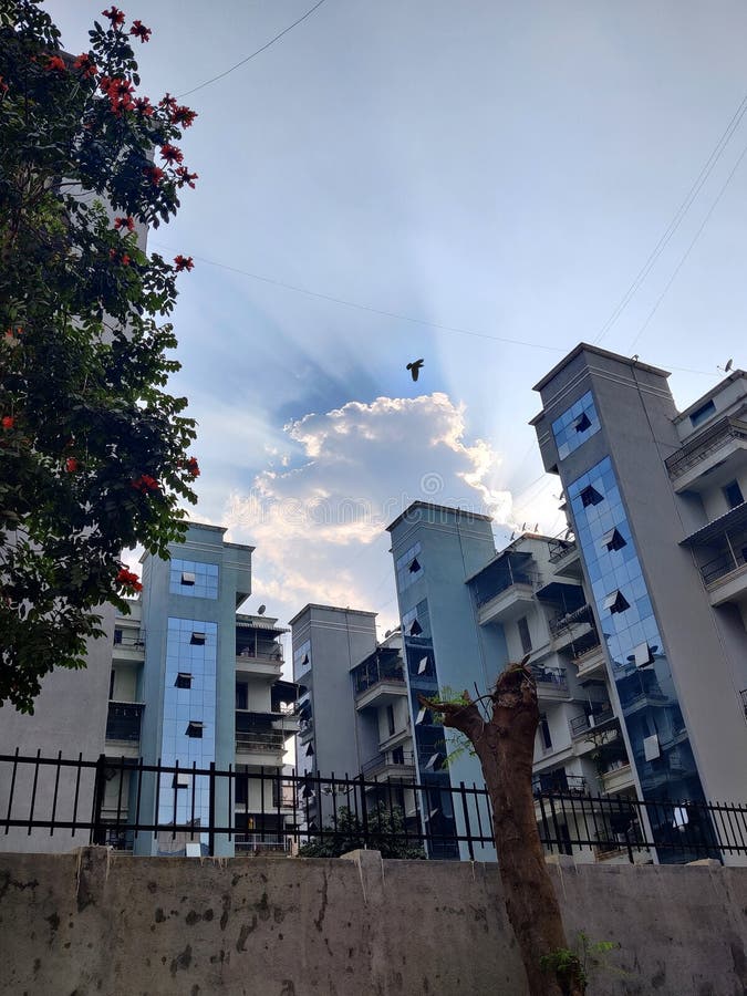 A Beautiful View of Building Sunlight Sun Rays Blue Sky Bird Flying ...
