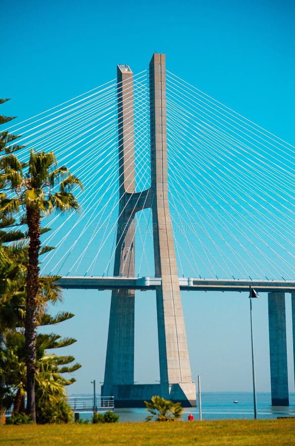 Beautiful View of a Cable-stayed Bridge with a Clear Sky Background ...