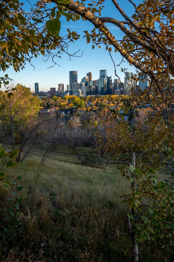 Beautiful View of Calgary S Cityscape in Fall Stock Photo - Image of ...