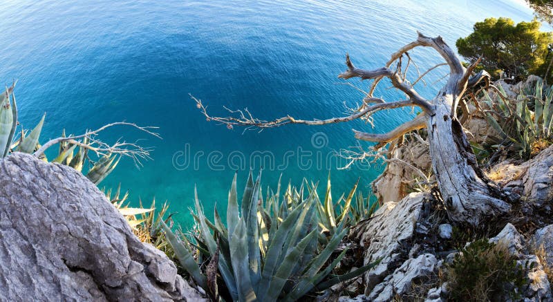 Beautiful View of the Calm Sae with Reflection of Trees in the Water ...