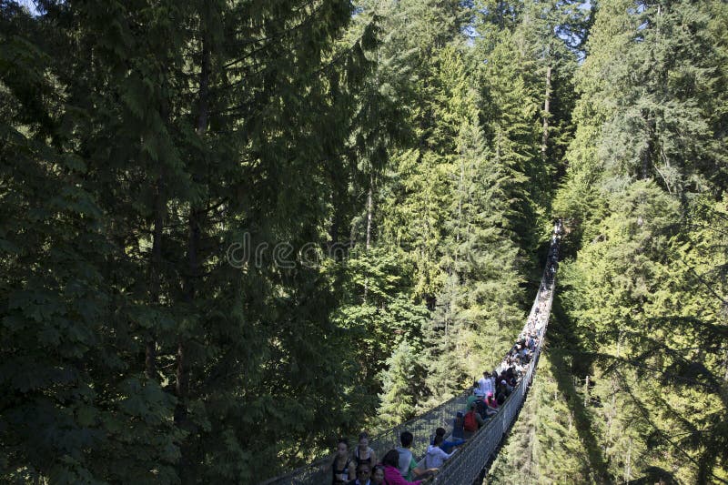 Beautiful View of the Capilano Suspension Bridge Park in Vancouver ...