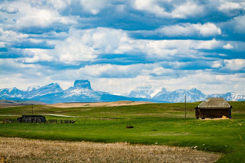 Beautiful View of Chief Mountain. Alberta, Canada Stock Image - Image ...