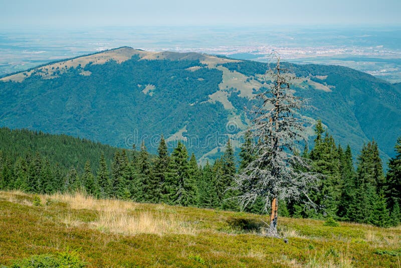 Beautiful View from Cindrel Mountains Stock Image - Image of meadow ...
