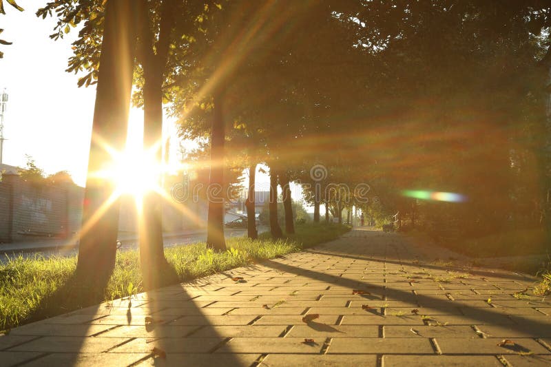 Beautiful View of City with Trees and Paved Pathway in Morning Stock ...