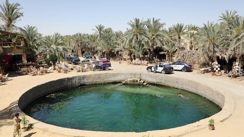 Beautiful View of Cleopatra Spring in Siwa Oasis Stock Footage - Video ...