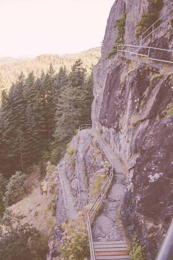 Beautiful View of the Cliffside and a Forest with a Narrow Pathway on ...