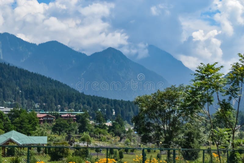 Beautiful View of Clouded Sky with Pine Trees and Walnut Trees at ...