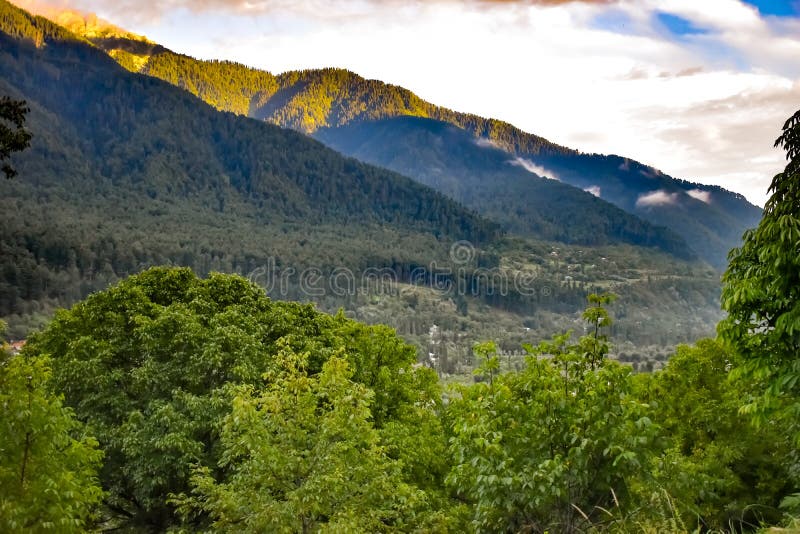 Beautiful View Of Clouded Sky With Pine Trees And Walnut Trees At ...