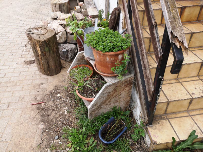 Beautiful View of Clutter with Green Plants in the Plant Boxes and Pots ...
