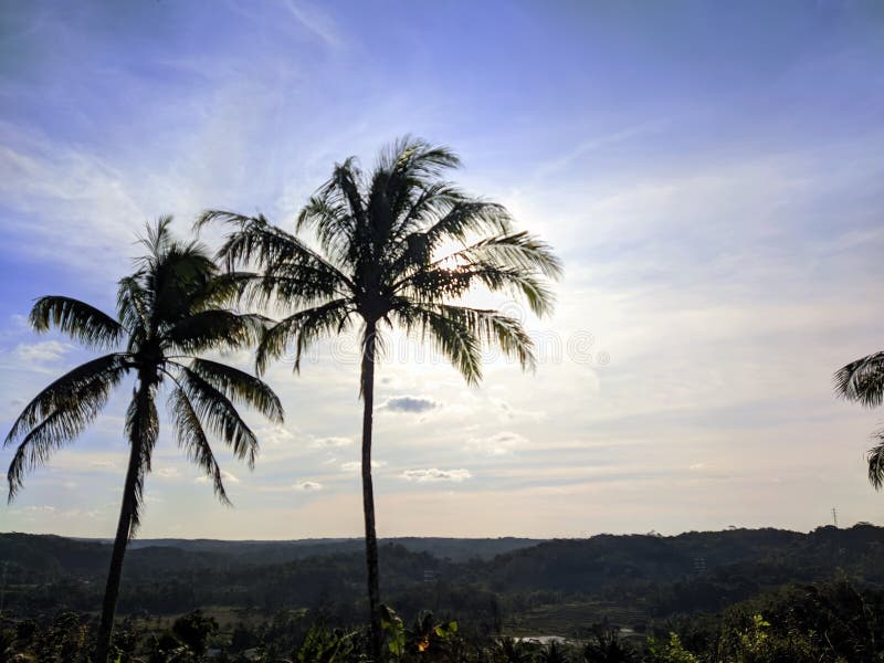 Beautiful View of Coconut and Sun from Indonesia Stock Image - Image of ...
