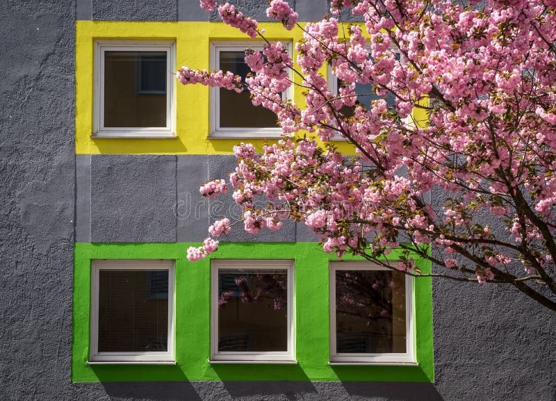 Beautiful View of Colorful Windows Surrounded with the Leaves of the ...