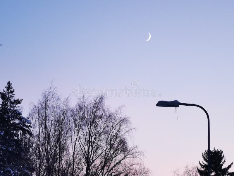 Beautiful View of a Crescent Moon in the Sky with Trees and Lamp Post ...