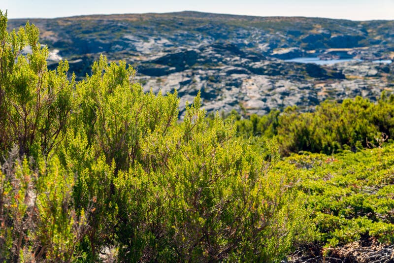 Beautiful View on Edge of a Cliff in Mountain Area Stock Photo - Image ...